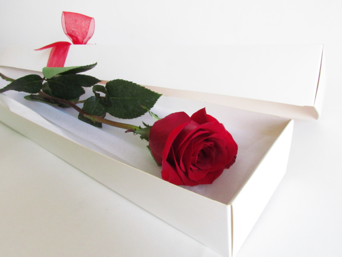 Caja Con Una Hermosa Rosa Roja Dellirium